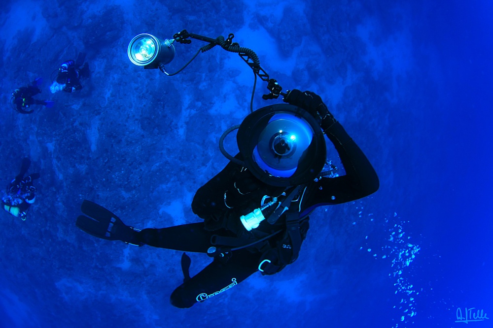 Under Water Photography Under Water Photography